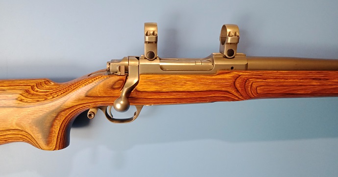 Ruger 77 Varmint 308