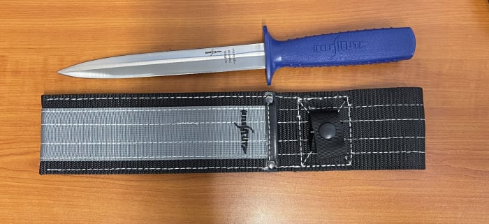 Sicut 8'' Pig Sticker