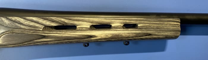 Howa Mini Action Varmint Blued Boyds Stock