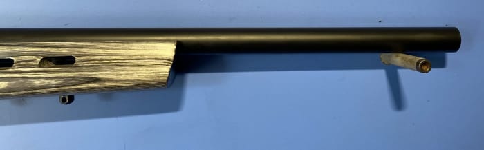 Howa Mini Action Varmint Blued Boyds Stock