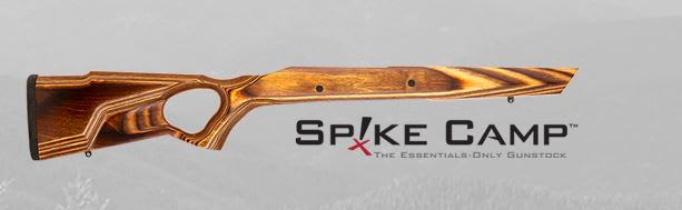 SPIKE CAMP RUGER AMERICAN RIMFIRE TARGET 22LR