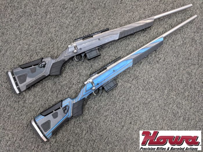 CUSTOM HOWA MINI ACTION TARGET 223REM STAINLESS STEEL