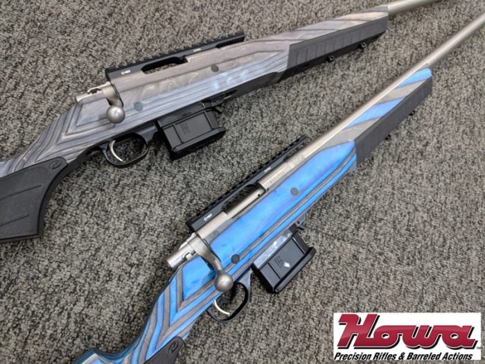 CUSTOM HOWA MINI ACTION TARGET 223REM STAINLESS STEEL