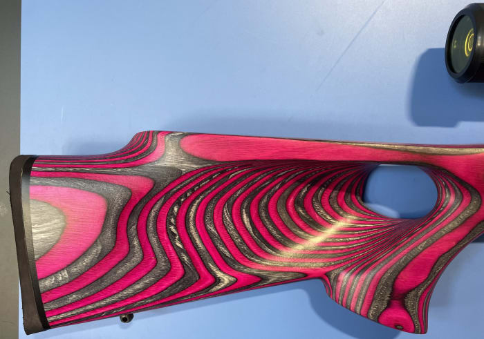 Howa Mini Action Blackjack T/H S/S Sporter 223