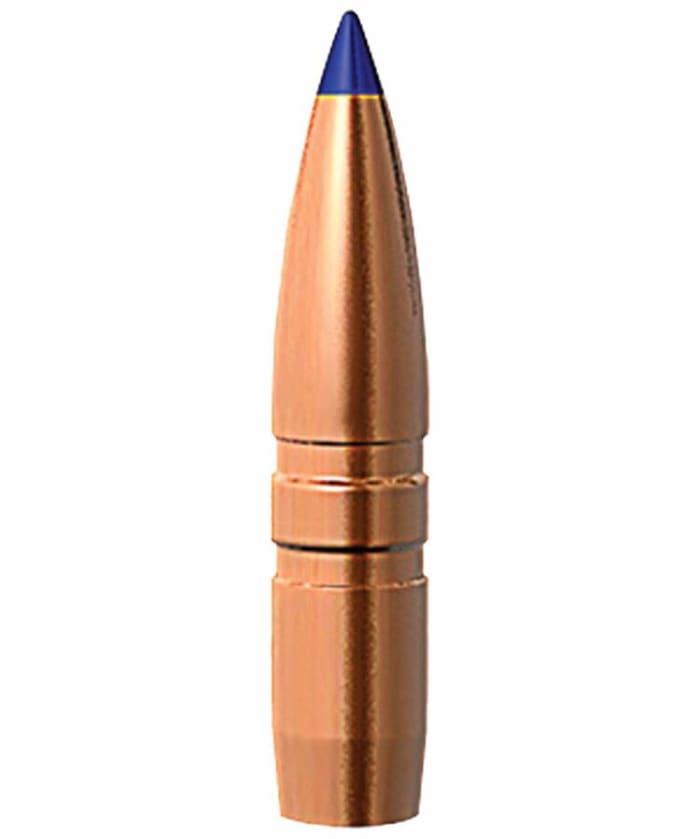 30479 BARNES 25 CAL 101 GR LRX (50)