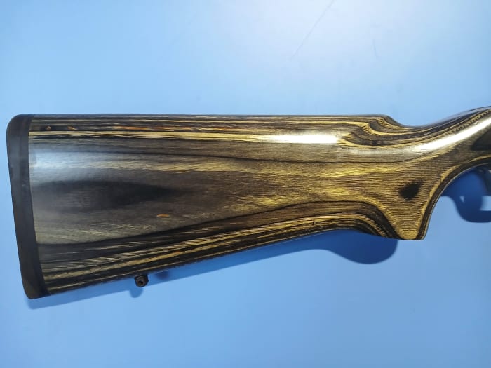 RUGER TARGET VARMINT 204