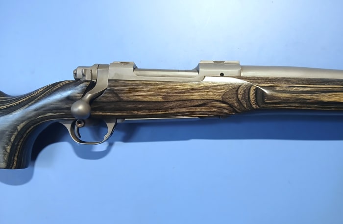 RUGER TARGET VARMINT 204